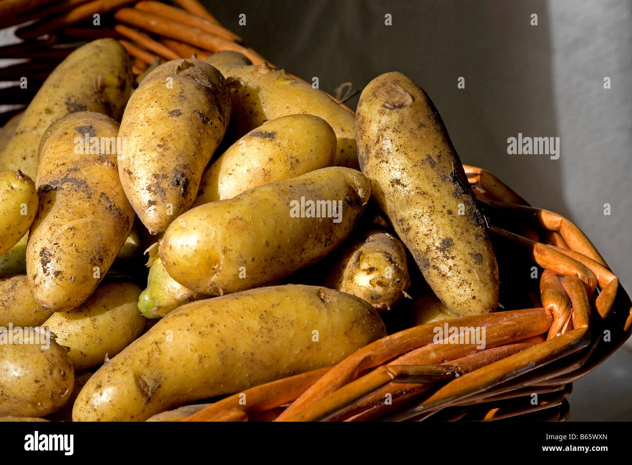 Kipfler potato hi-res stock photography and images - Alamy