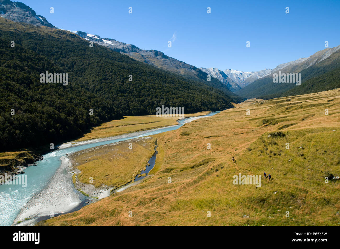 The Dart River valley looking towards Mount Ansted in the distance ...