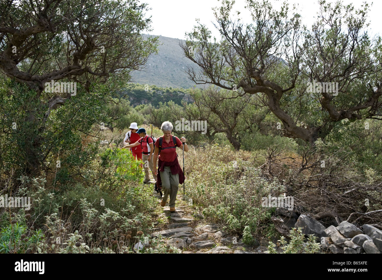 Walkers on an old kalderimi, stone path, above Trachila, Outer Mani ...