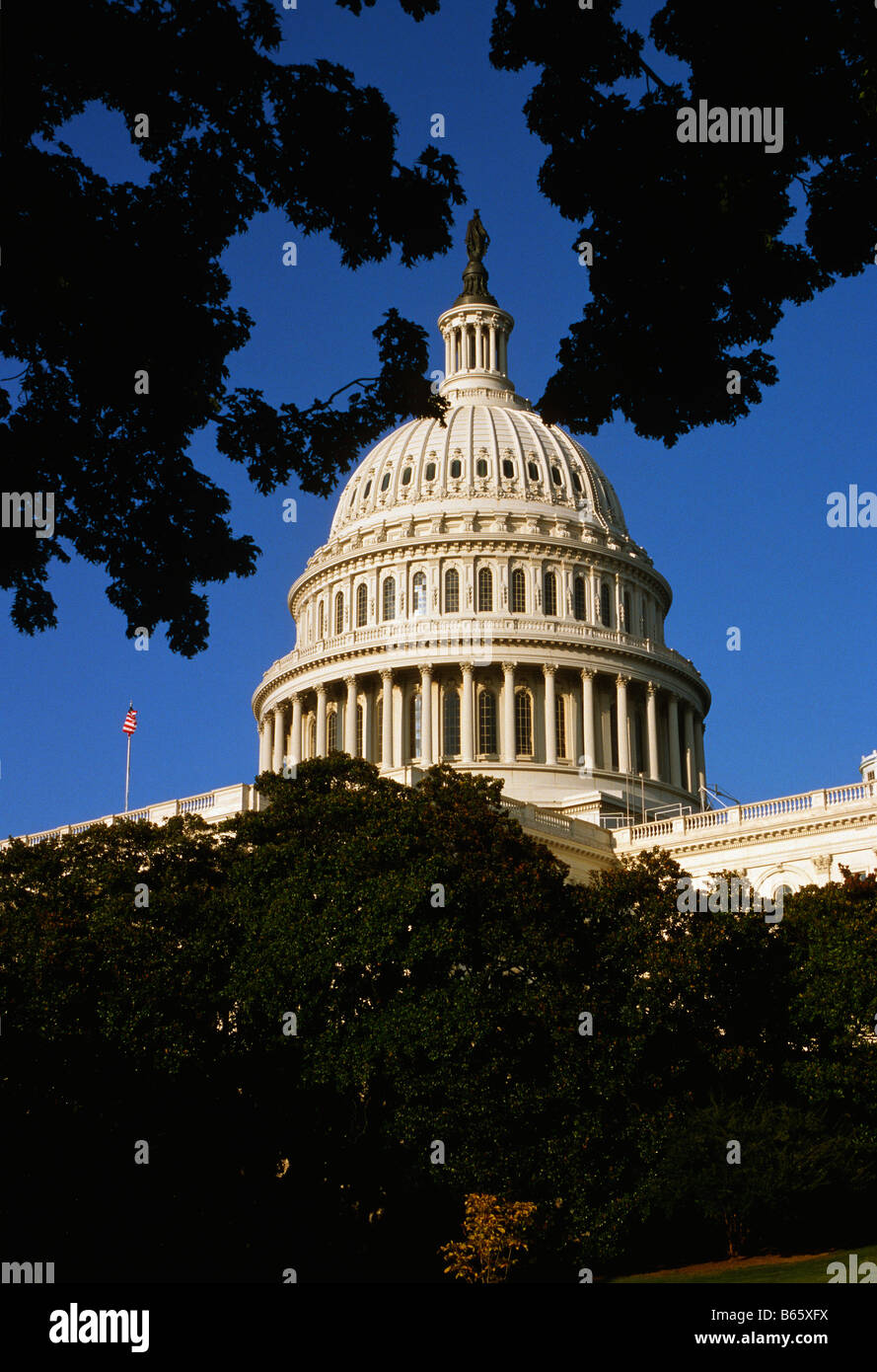 The west face of the United States Capitol Building Stock Photo - Alamy