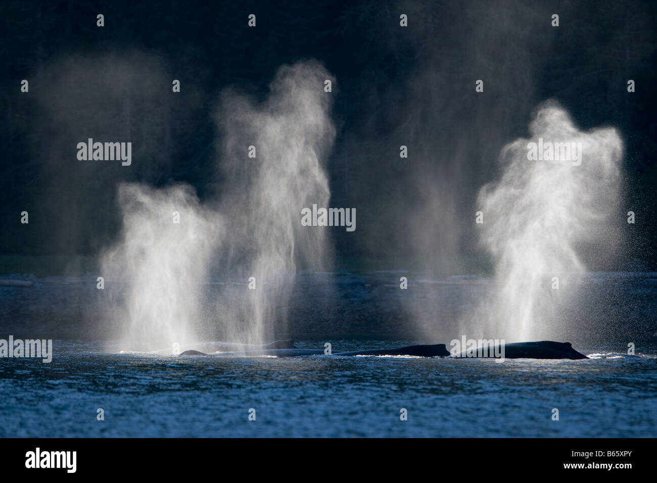 Spout group of people hi-res stock photography and images - Alamy