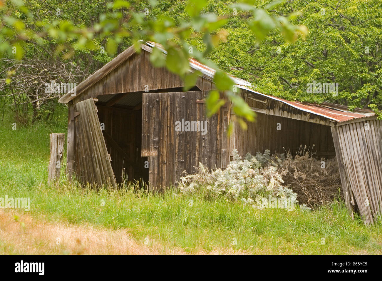 A ruined wooden shed in the countryside Stock Photo - Alamy