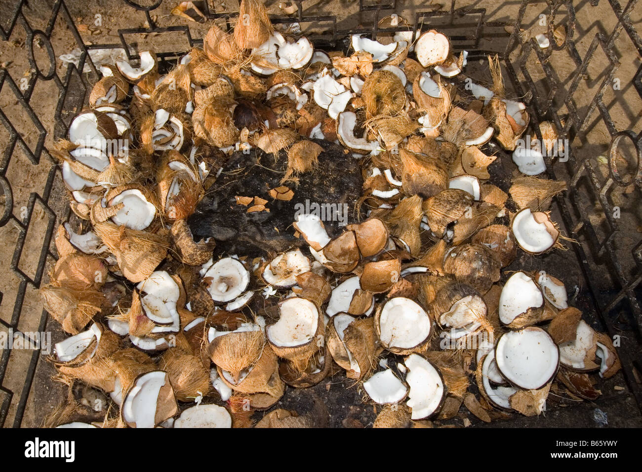 Broken Coconuts at a Hindu Temple Stock Photo - Alamy