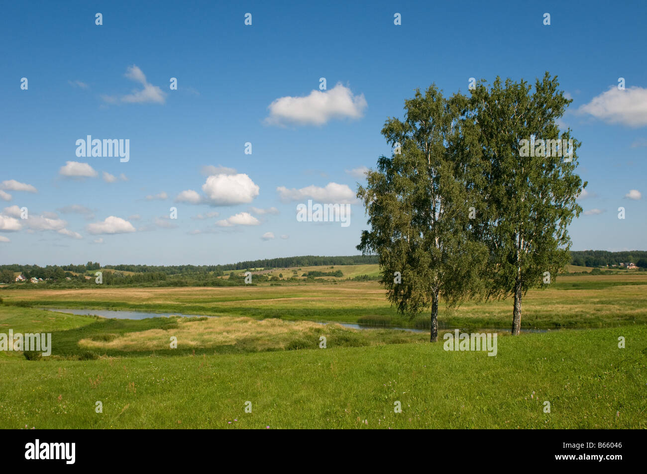 rural landscape with two trees Stock Photo - Alamy