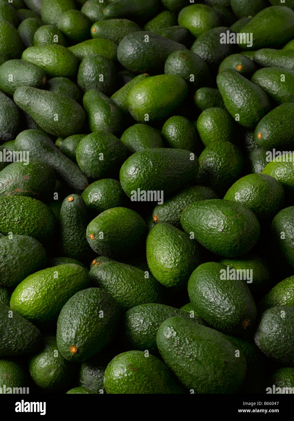 green and fres avocados texture Stock Photo - Alamy