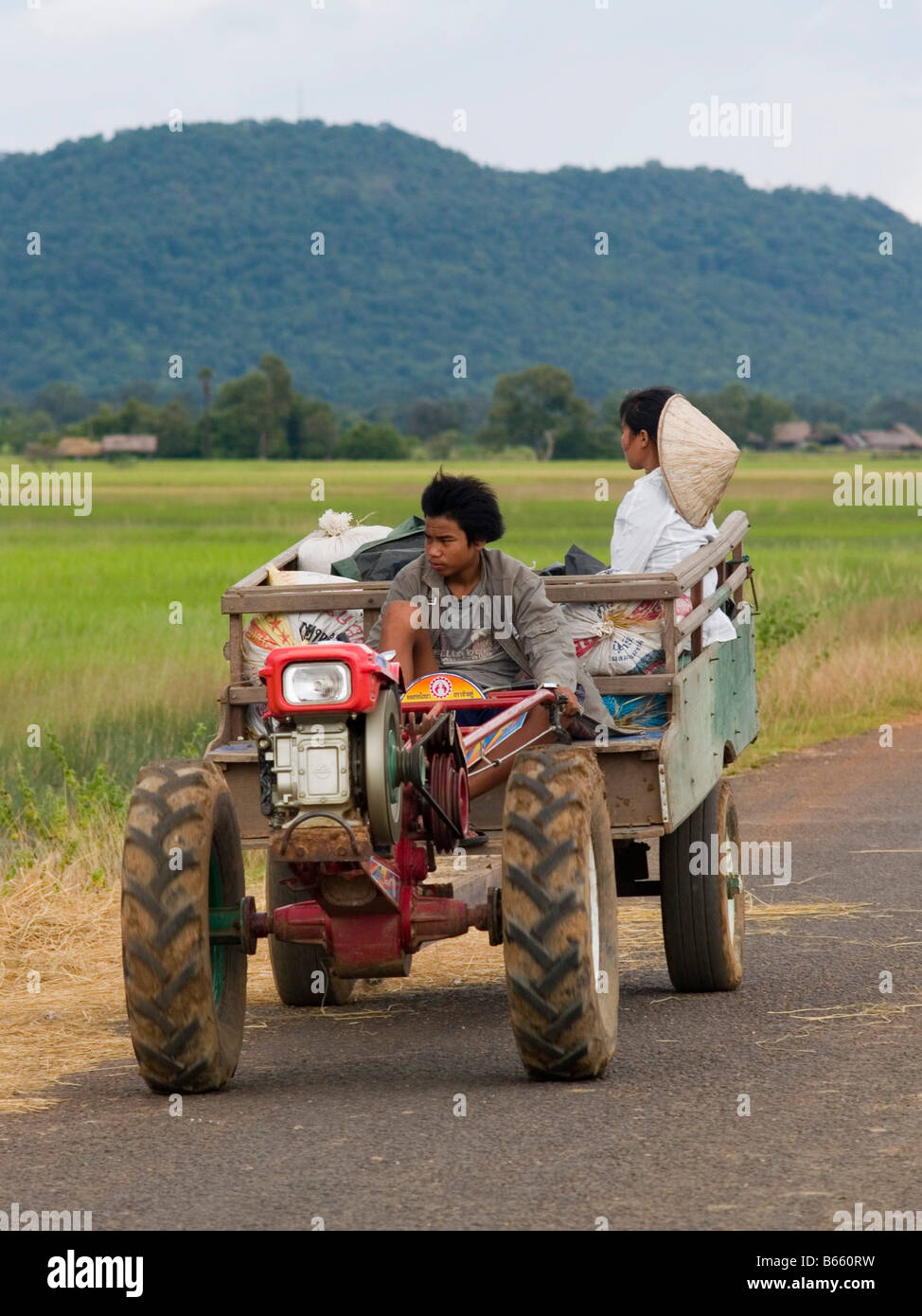 scenes from the rice harvest on Don Khong island in Laos Stock Photo ...