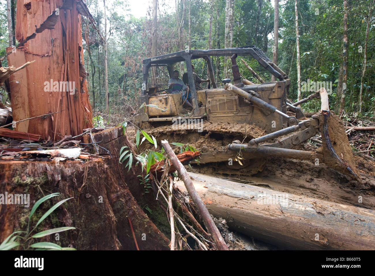 Bulldozing Trees Alani Bulldozing, LLC Excavating Contractor Pahoa,