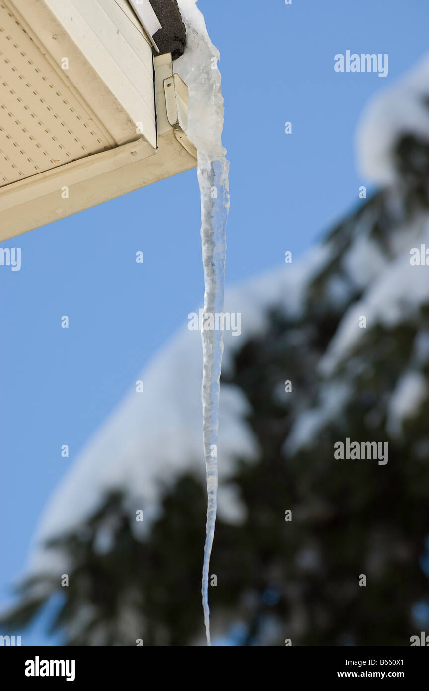 long transparent icicle Stock Photo - Alamy