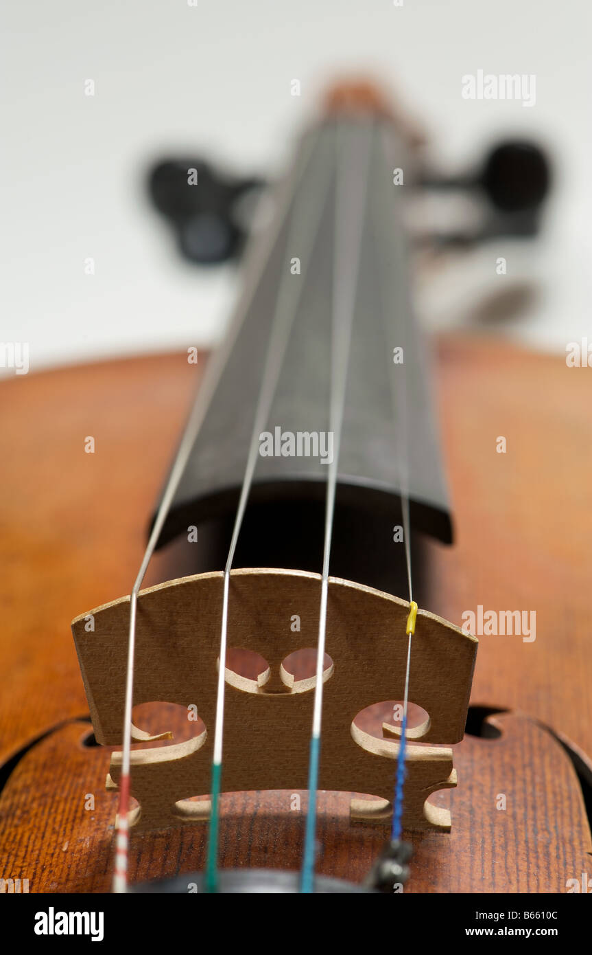 Detail of a violin on white background Stock Photo - Alamy