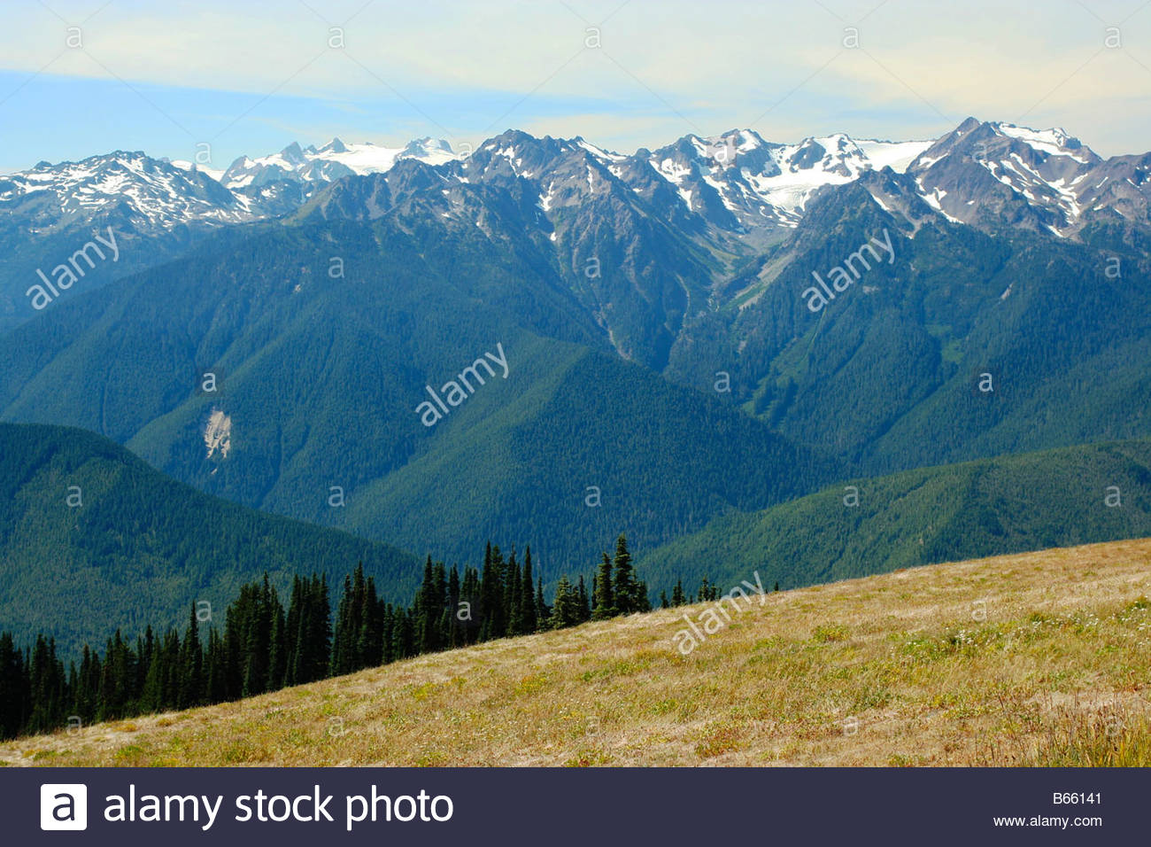 Mt Olympus Washington Stock Photos & Mt Olympus Washington Stock Images ...