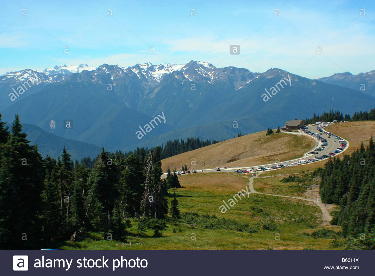 Mt Olympus Washington Stock Photos & Mt Olympus Washington Stock Images ...