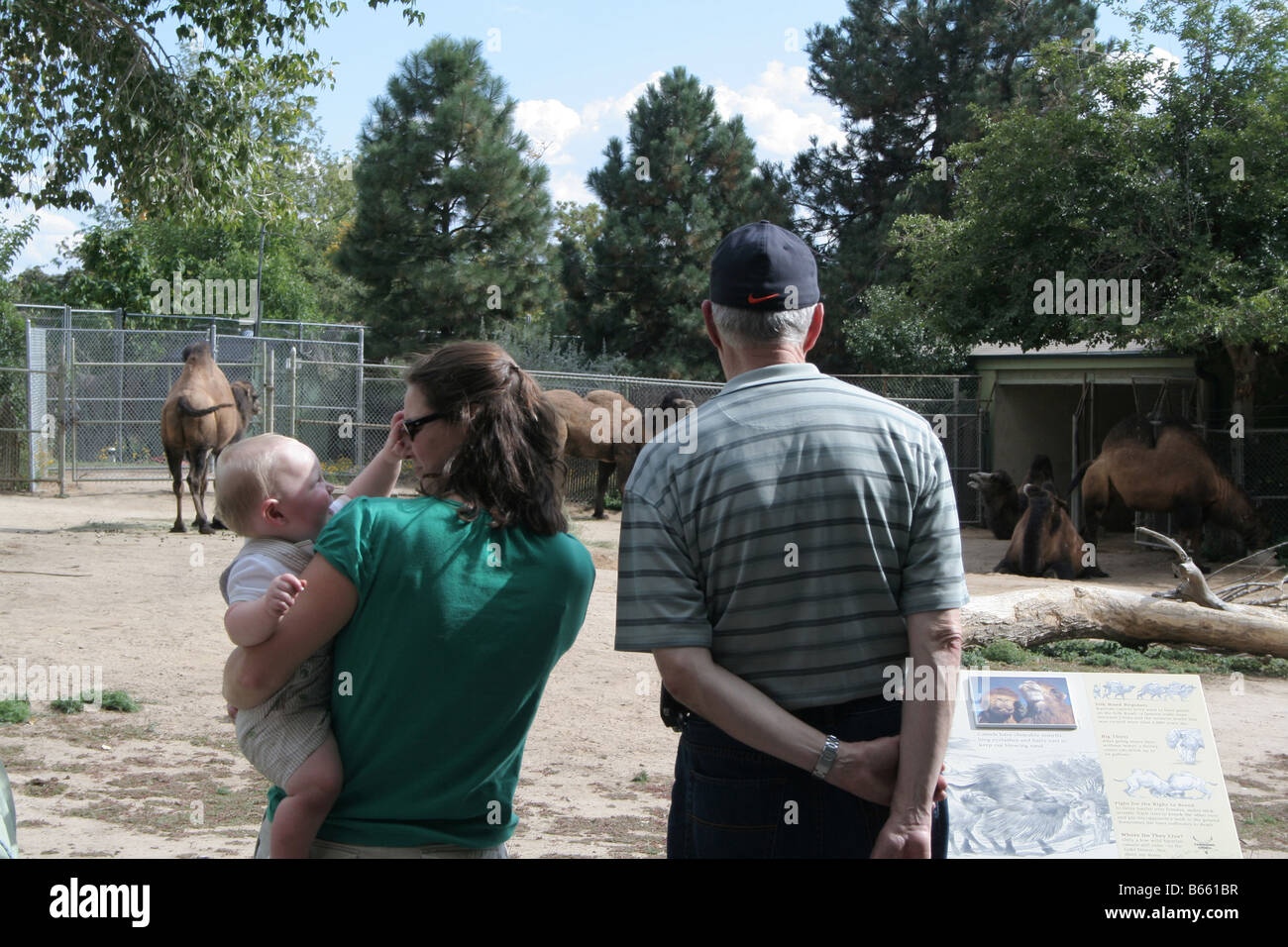 Family watching animals at the zoo Stock Photo - Alamy
