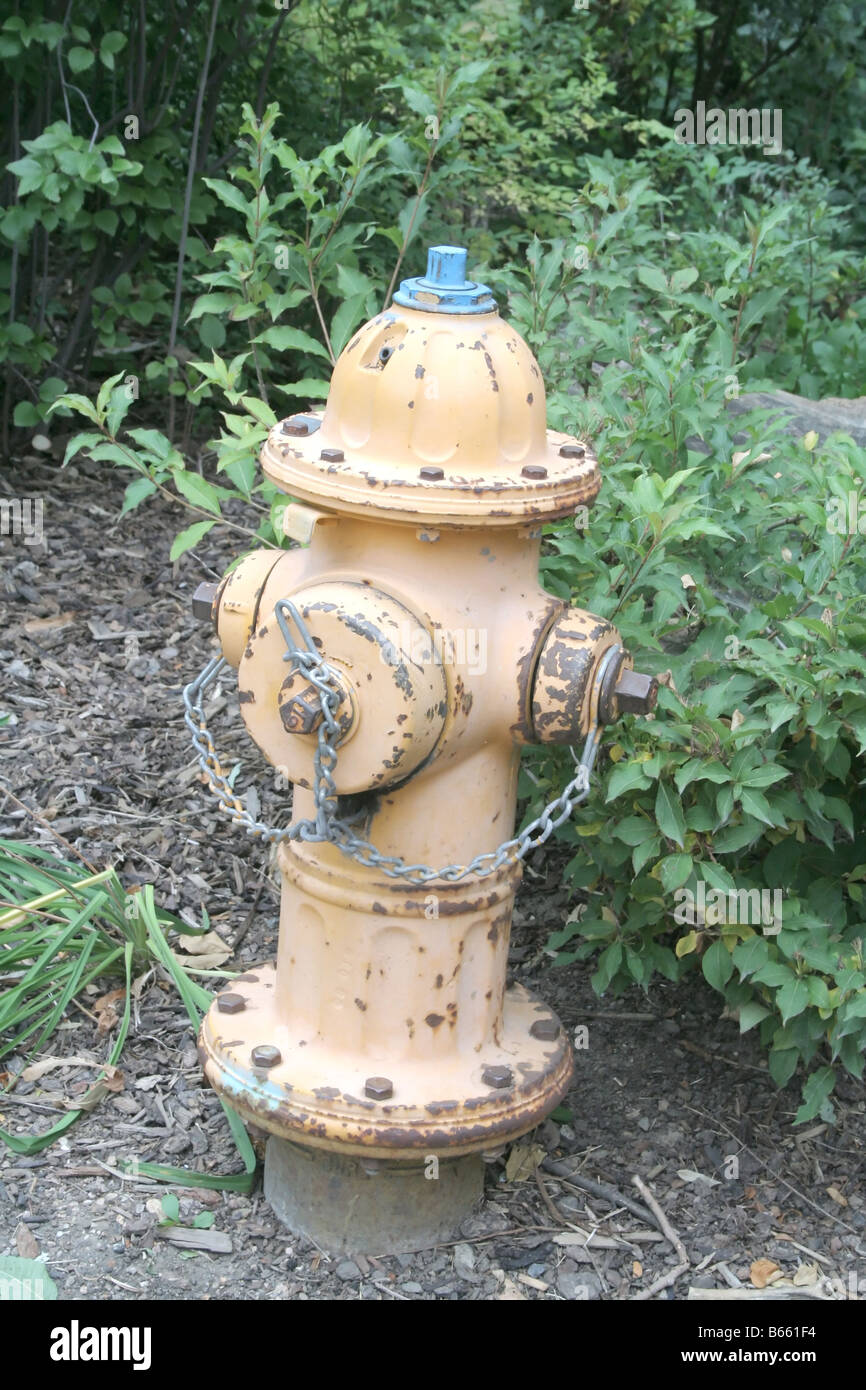 Fire plug hi-res stock photography and images - Alamy