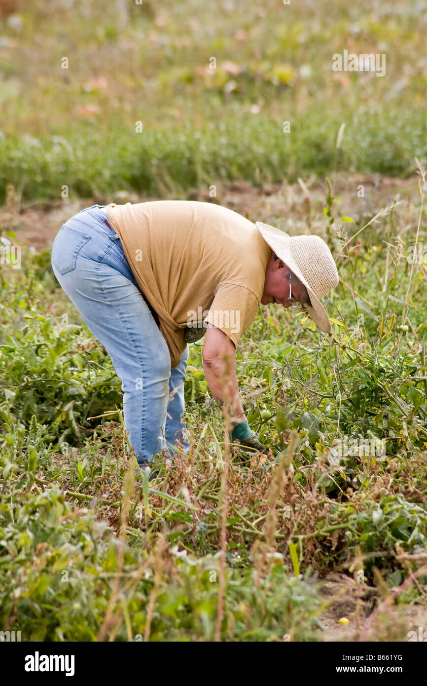 Adult adults woman women working work works hi-res stock photography ...