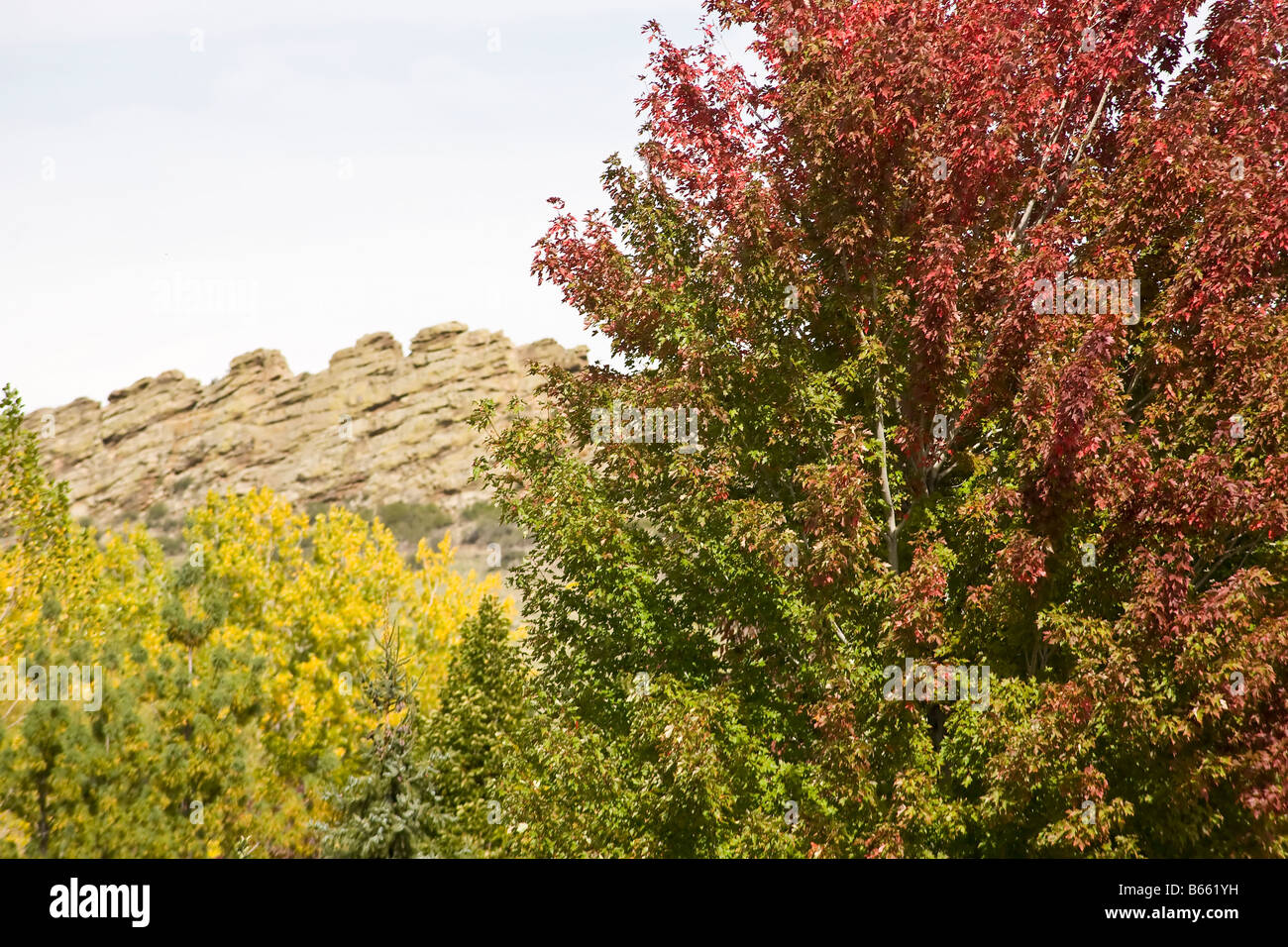 Colorful autumn trees in front of a interesting rock formation Stock ...
