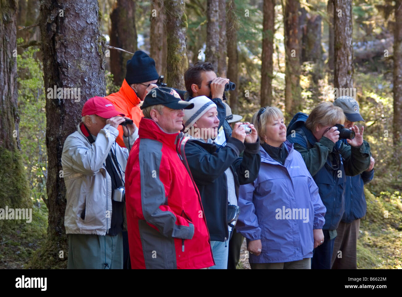Tourists at Glacier Bay National Forest, Alaska Stock Photo - Alamy
