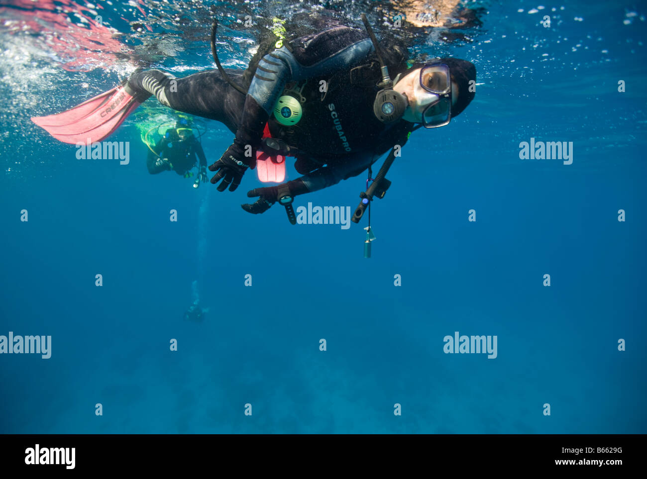 Ecuador Galapagos Islands Darwin Island Young woman scuba diver ...