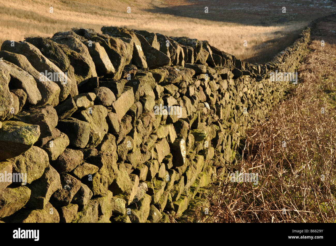 Dry stone wall Sharp Haw Skipton Yorkshire Stock Photo - Alamy