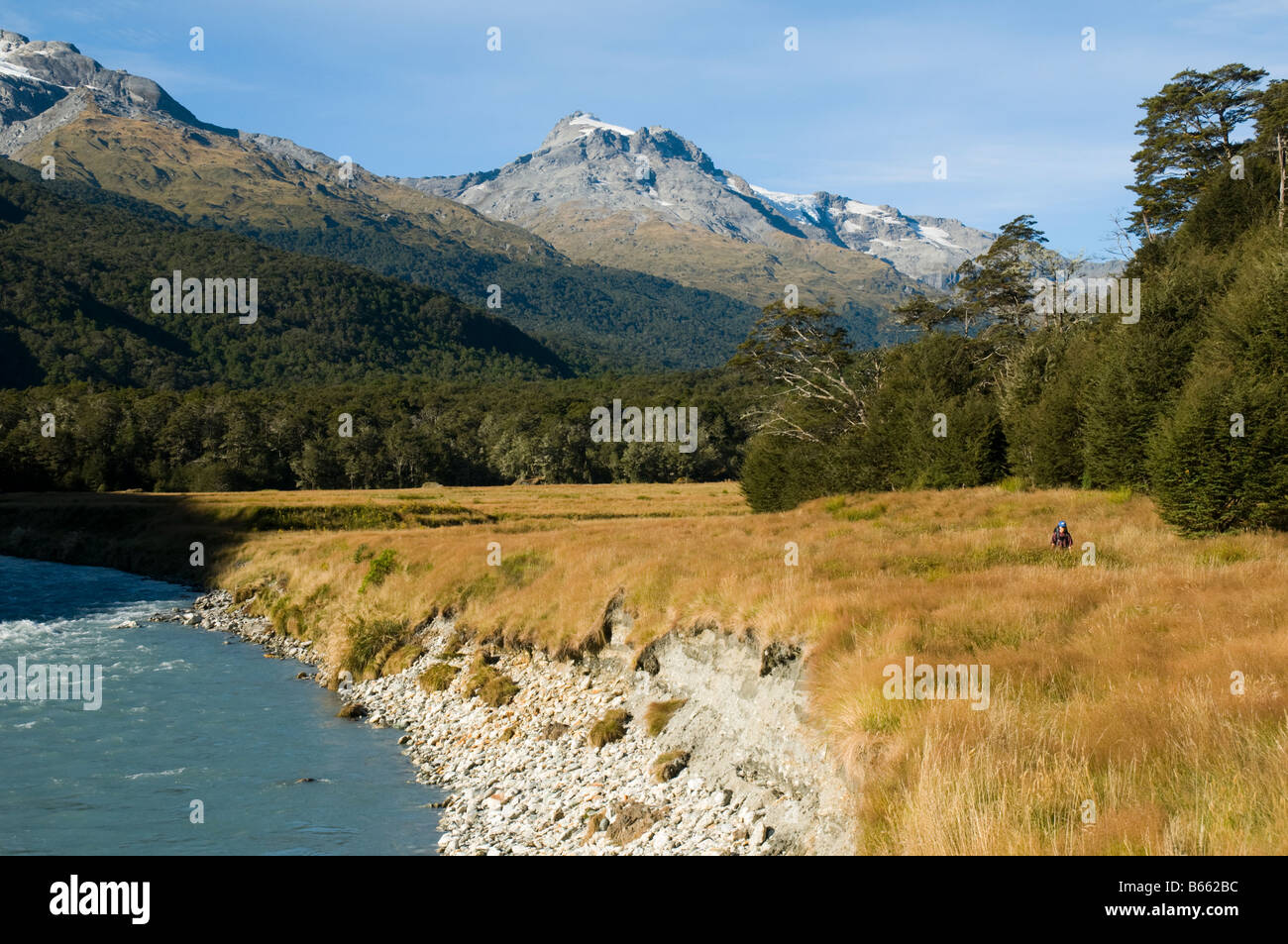 A peak of the Barrier Range from the Dart Valley, Rees Dart track ...
