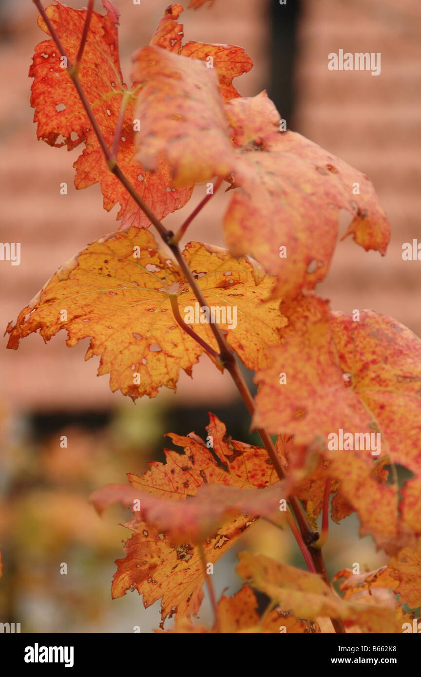 Man Made Environment High Resolution Stock Photography and Images - Alamy