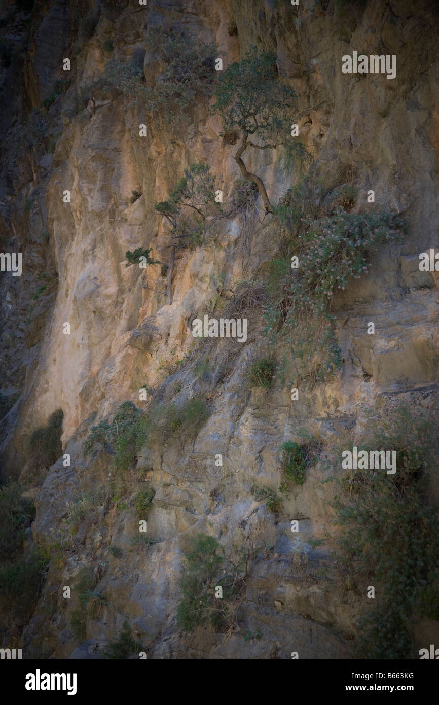 The Samarian Gorge Stock Photo - Alamy