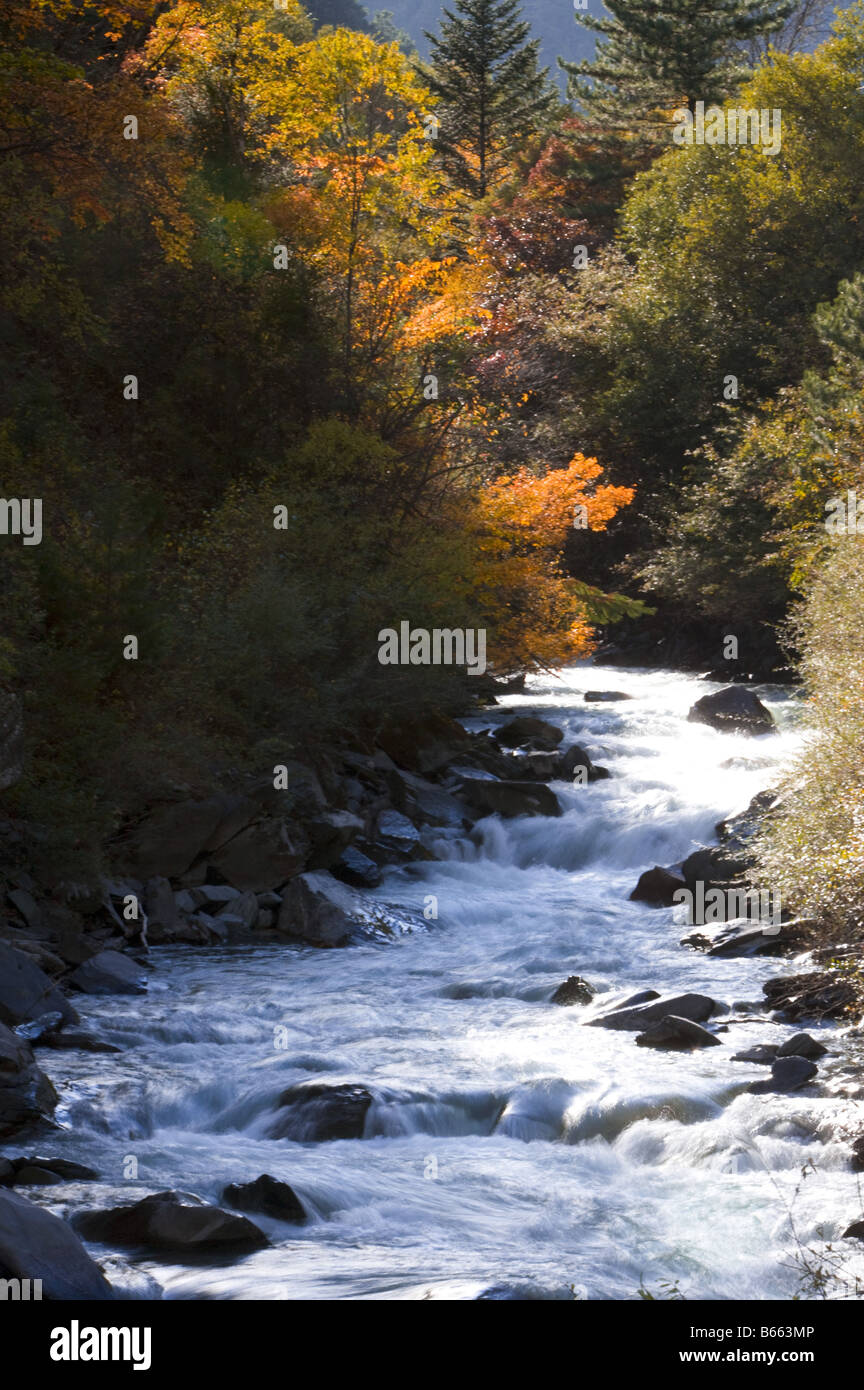 Beautiful natural scenery with trees and flowing water Stock Photo - Alamy