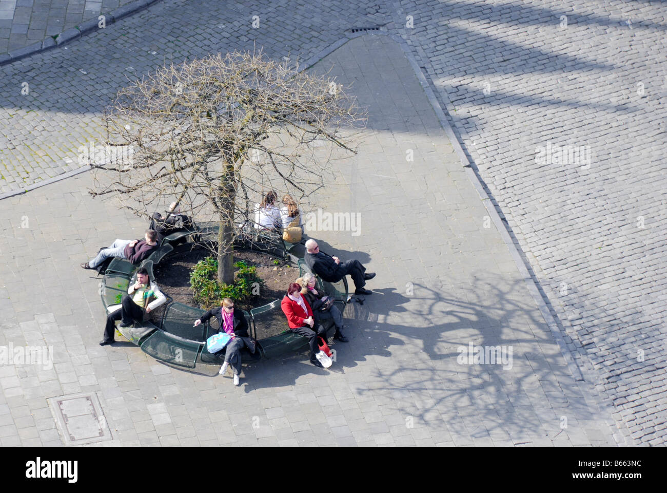 People relaxing around a tree Stock Photo - Alamy
