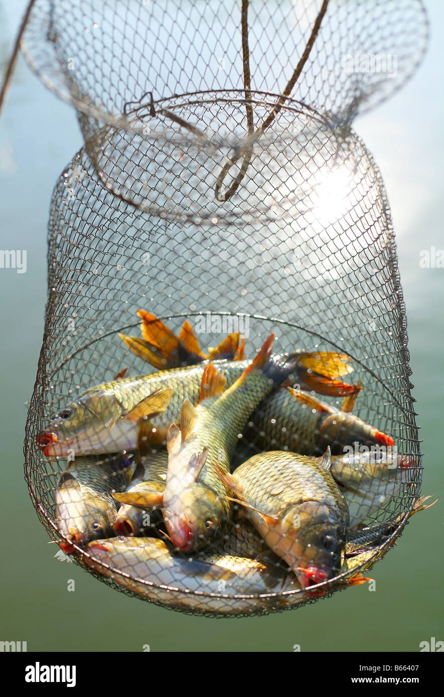 See fishing hi-res stock photography and images - Alamy