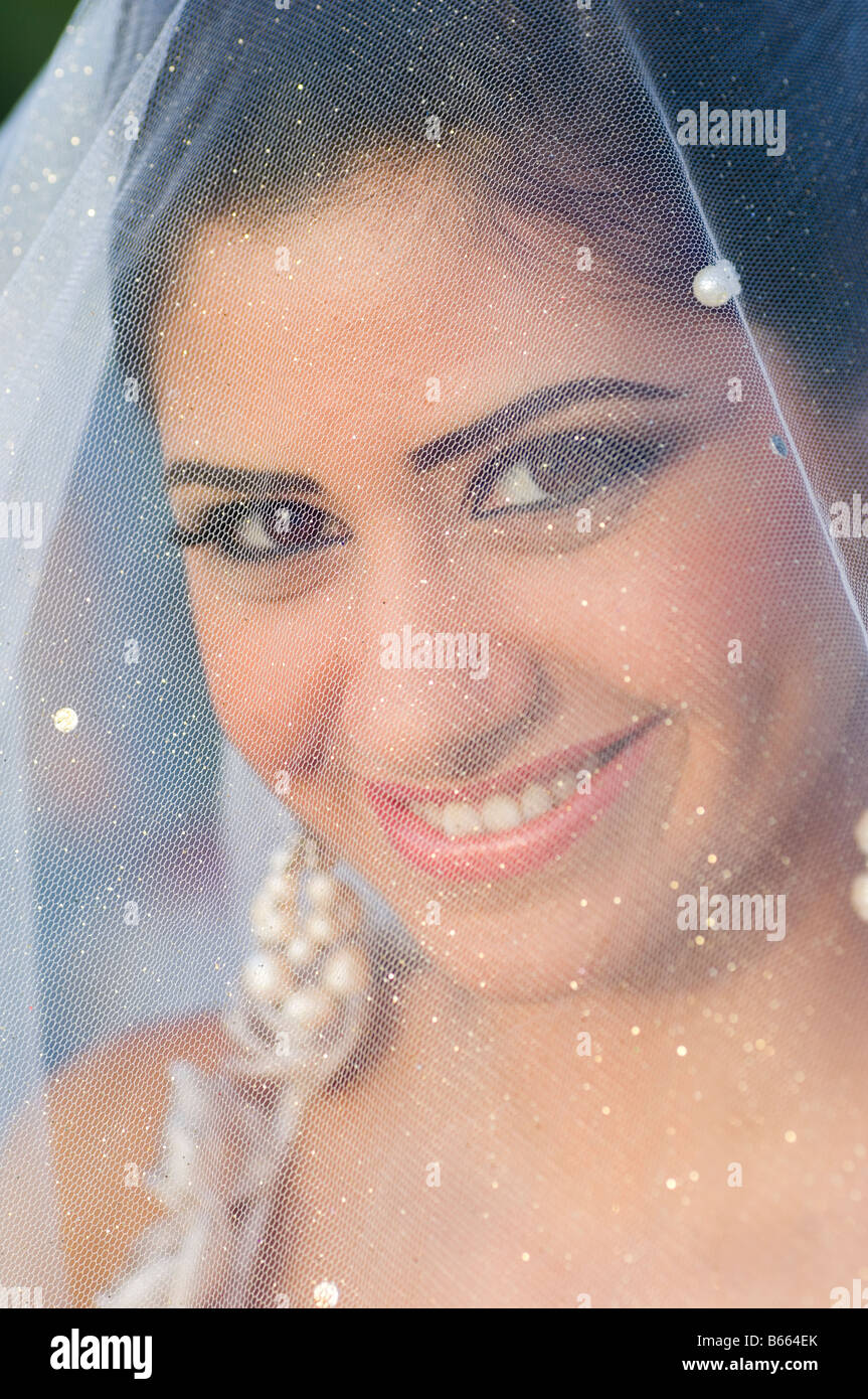 Portrait of a beautiful bride with veil covering face Stock Photo - Alamy