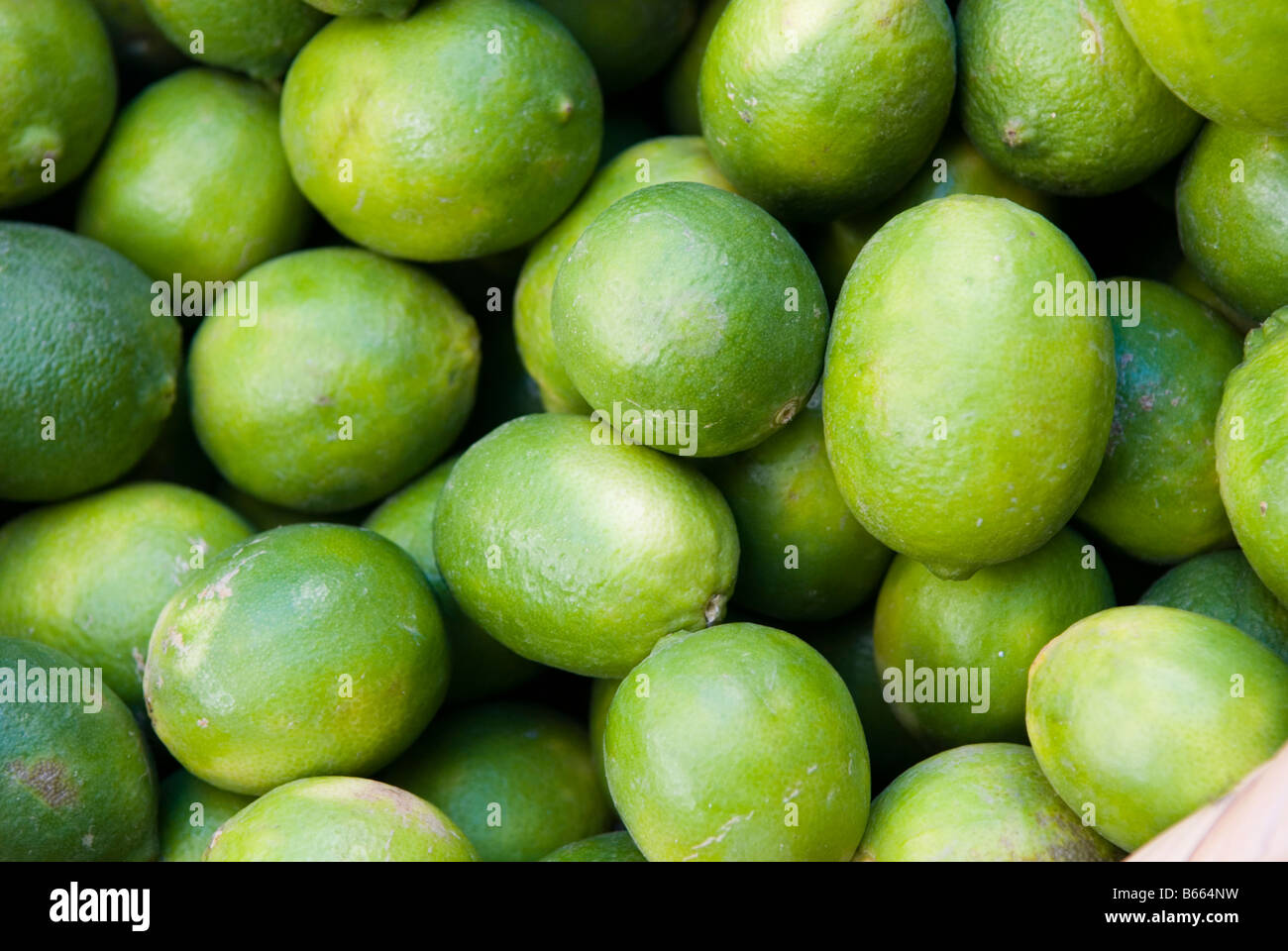 Bio east hi-res stock photography and images - Alamy