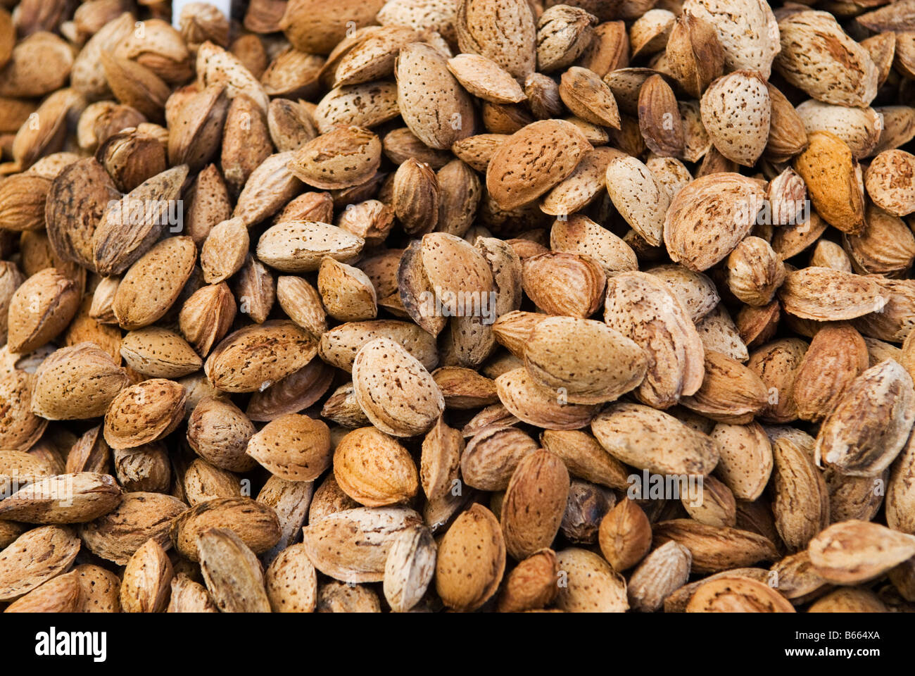 Dry almonds in Market in Lebanon Middle East Stock Photo - Alamy