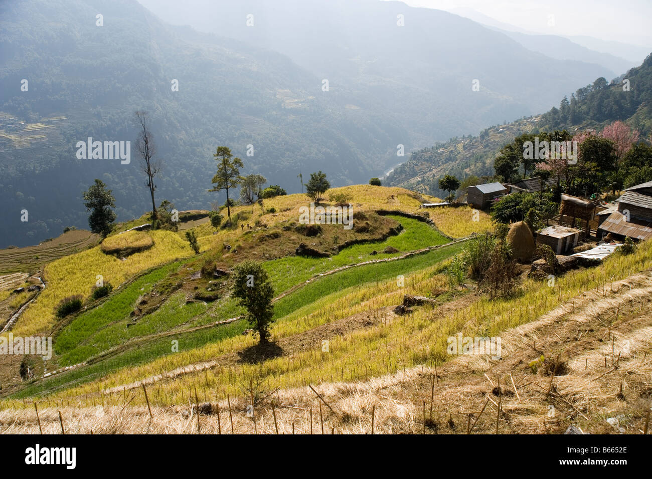 Nepal irrigation farm hi-res stock photography and images - Alamy