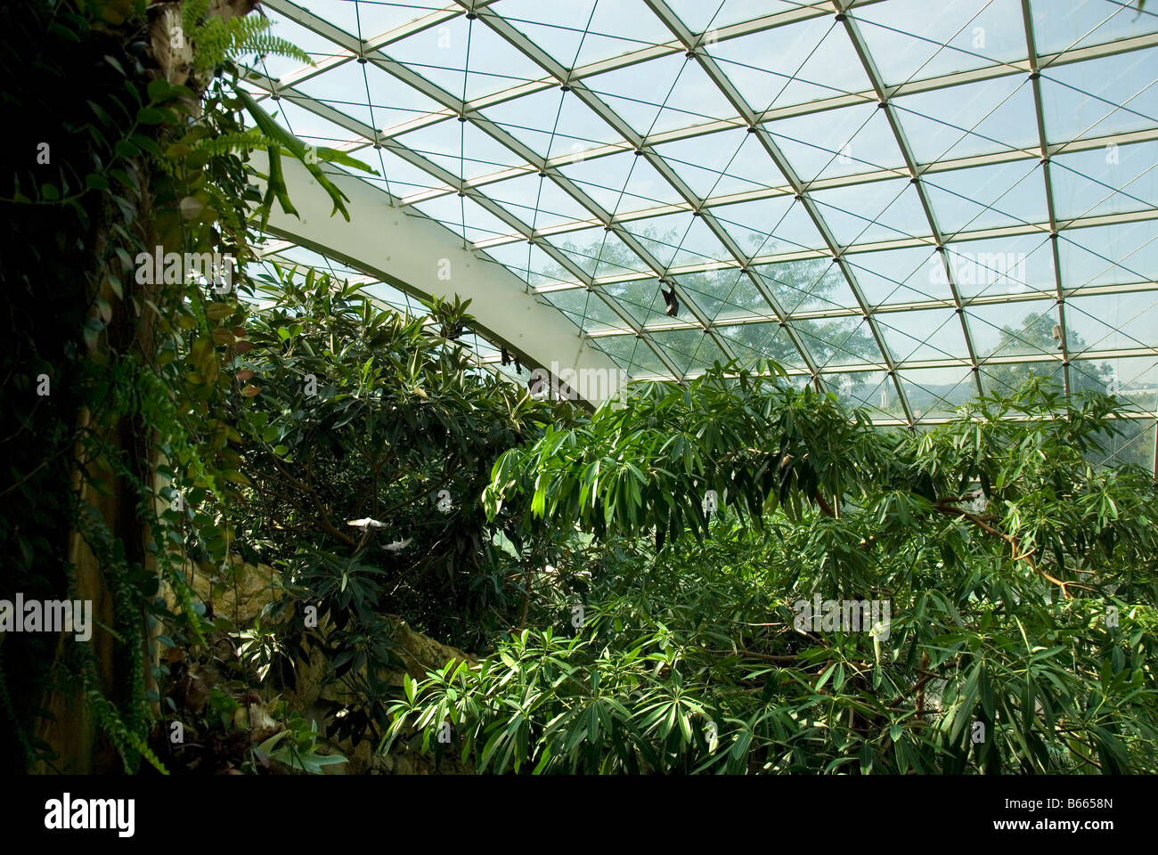 Zoo hot house hi-res stock photography and images - Alamy