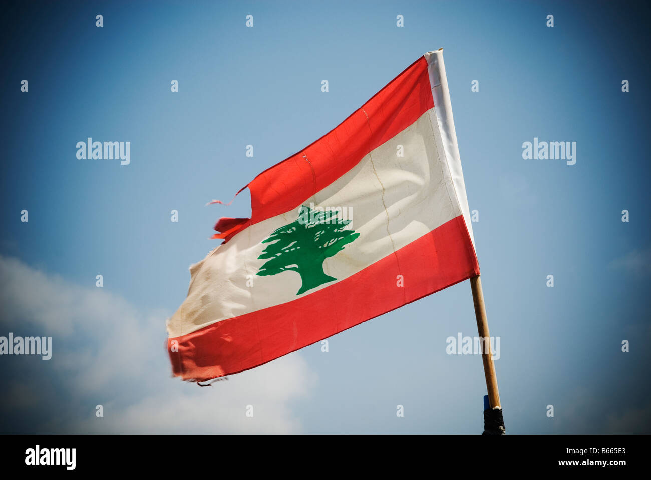 Lebanon cedar tree flag hi-res stock photography and images - Alamy