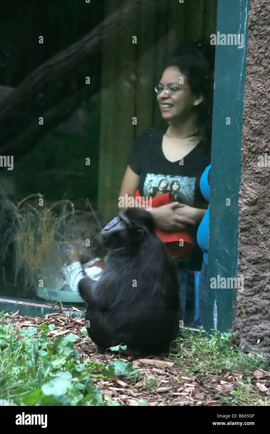 Zoo window hi-res stock photography and images - Alamy