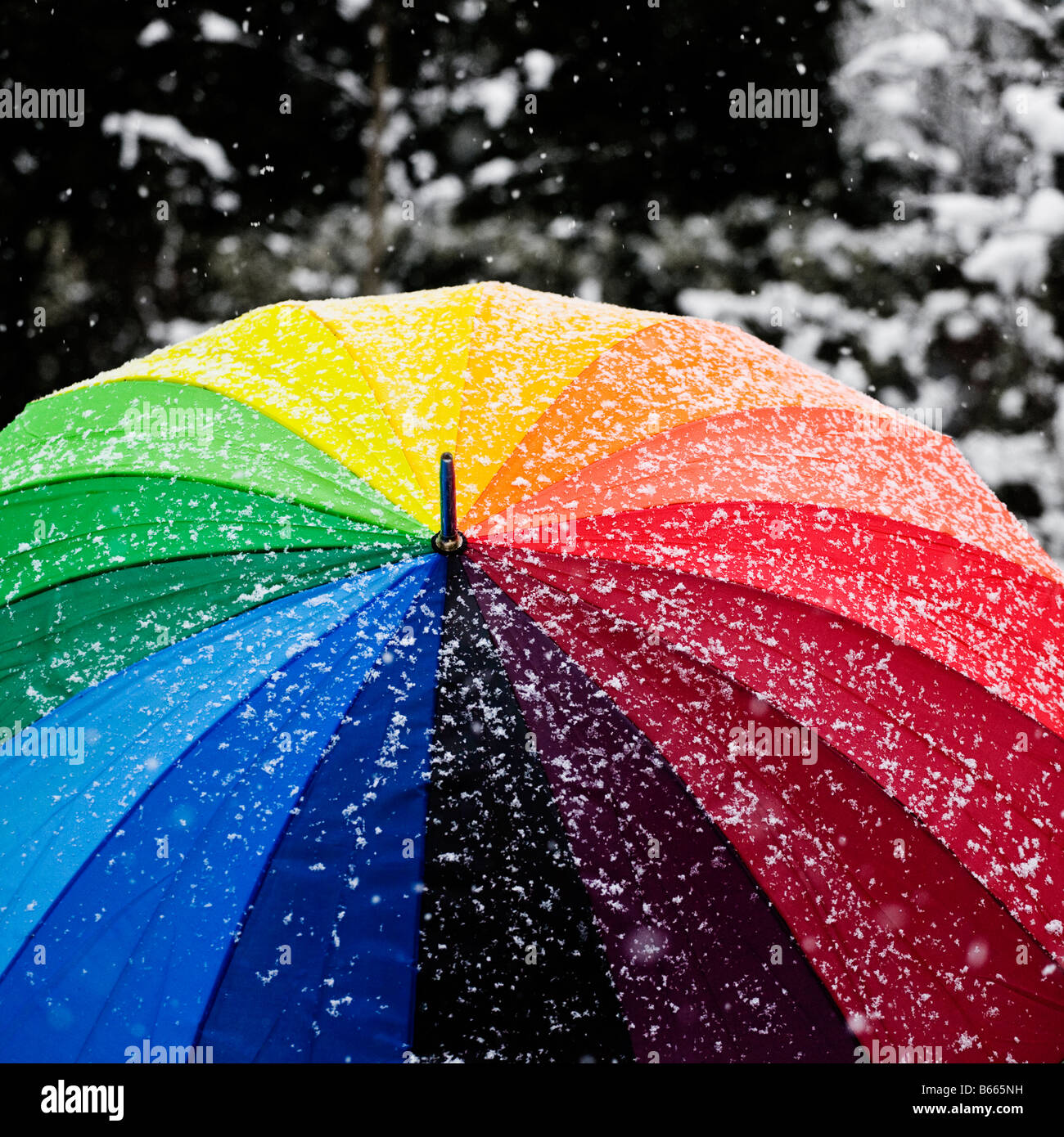 Brolly hi-res stock photography and images - Alamy
