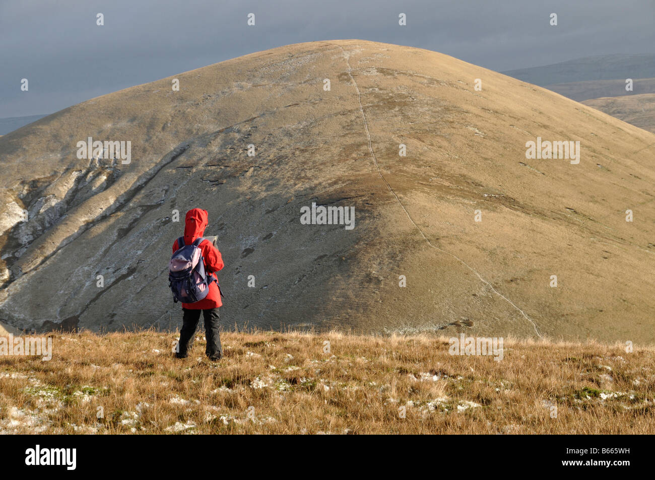 Kensgriff hi-res stock photography and images - Alamy