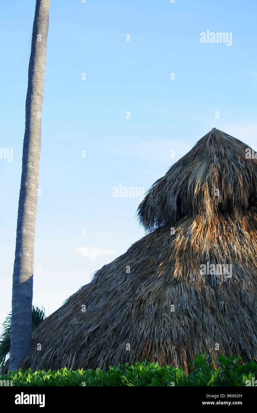 A thatched roof tropical grass hut or palapa in mexico Stock Photo - Alamy