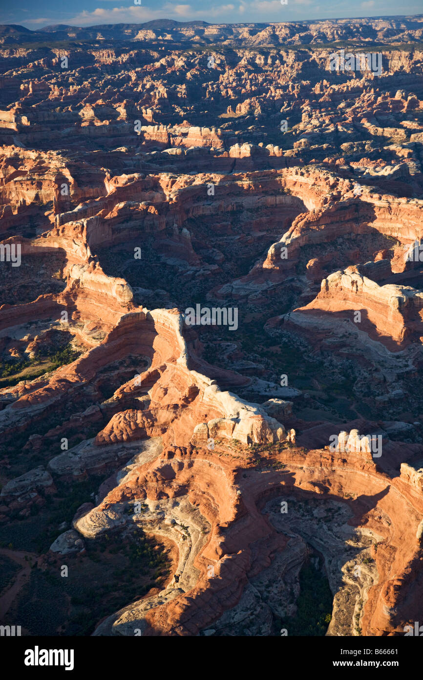 The Needles District Canyonlands National Park near Moab Utah Stock ...