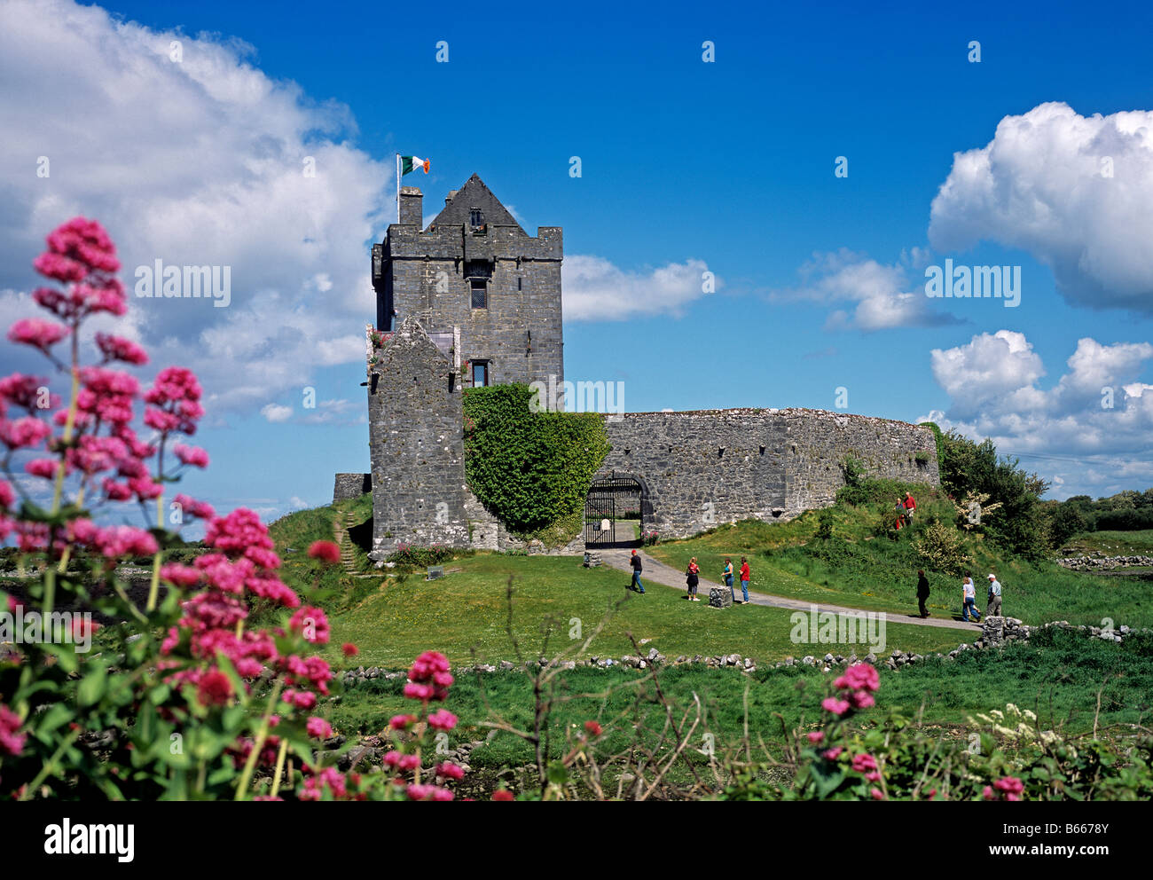 Dunguaire castle kinvara co galway hi-res stock photography and images ...