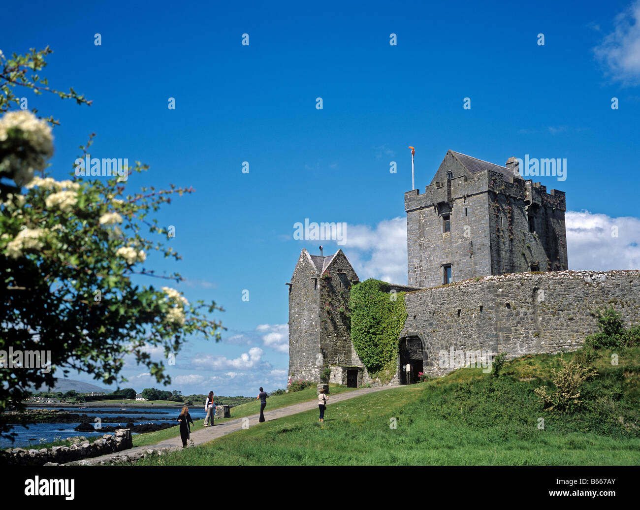 Dunguaire castle kinvara co galway hi-res stock photography and images ...