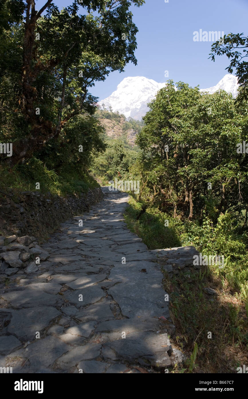 Annapurna South and Hiunchuli Mountains trekking up the side of Modi ...