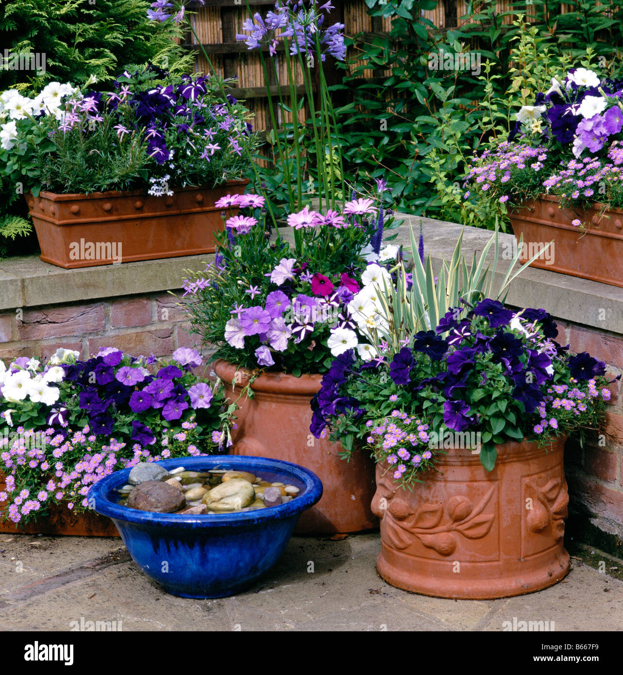 Assorted planted containers full of summer flowering plants Stock Photo ...