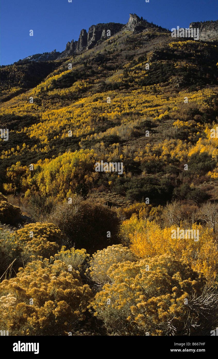 Mountain Scenery Ruby Mountains Elko Nevada US Stock Photo - Alamy