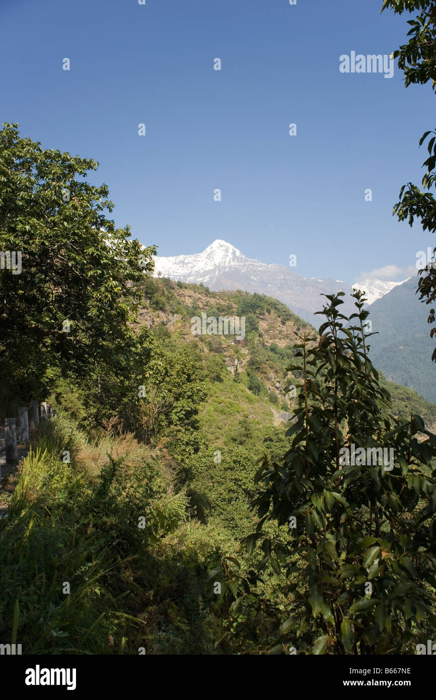 Modi River Valley High Resolution Stock Photography and Images - Alamy