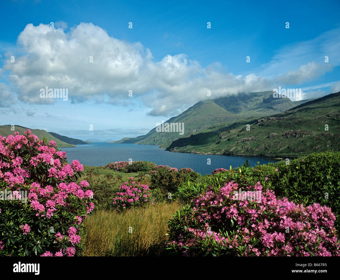 Killary harbour co galway ireland hi-res stock photography and images ...