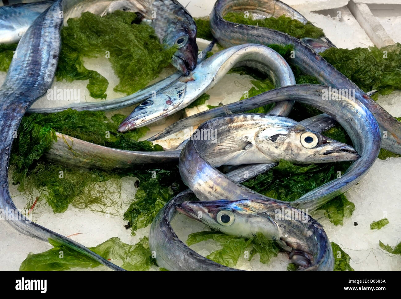 Pignasecca fish market naples campania hi-res stock photography and ...