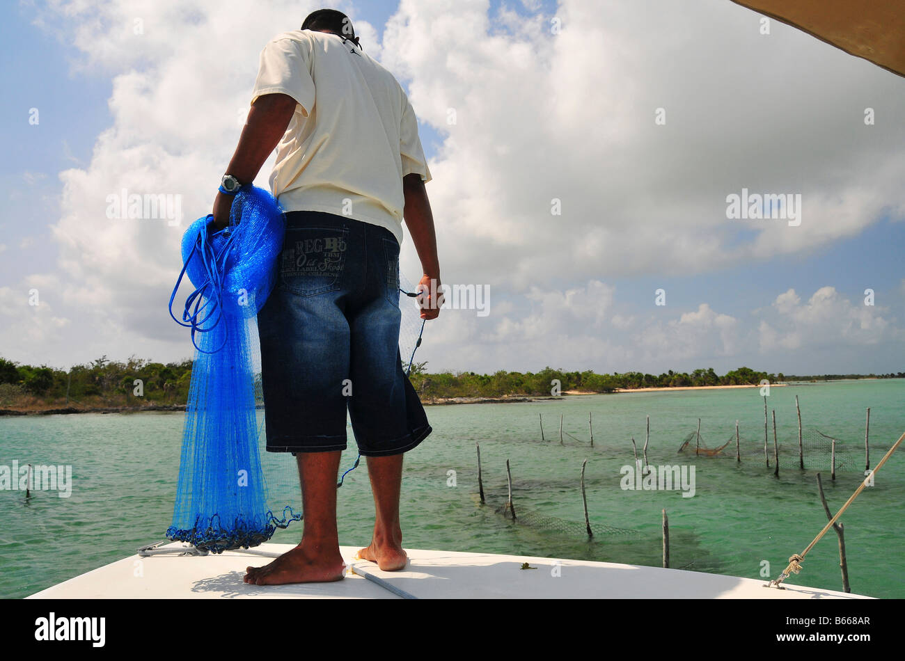 An old fish trap on the Belize flats is a good place to check for live ...