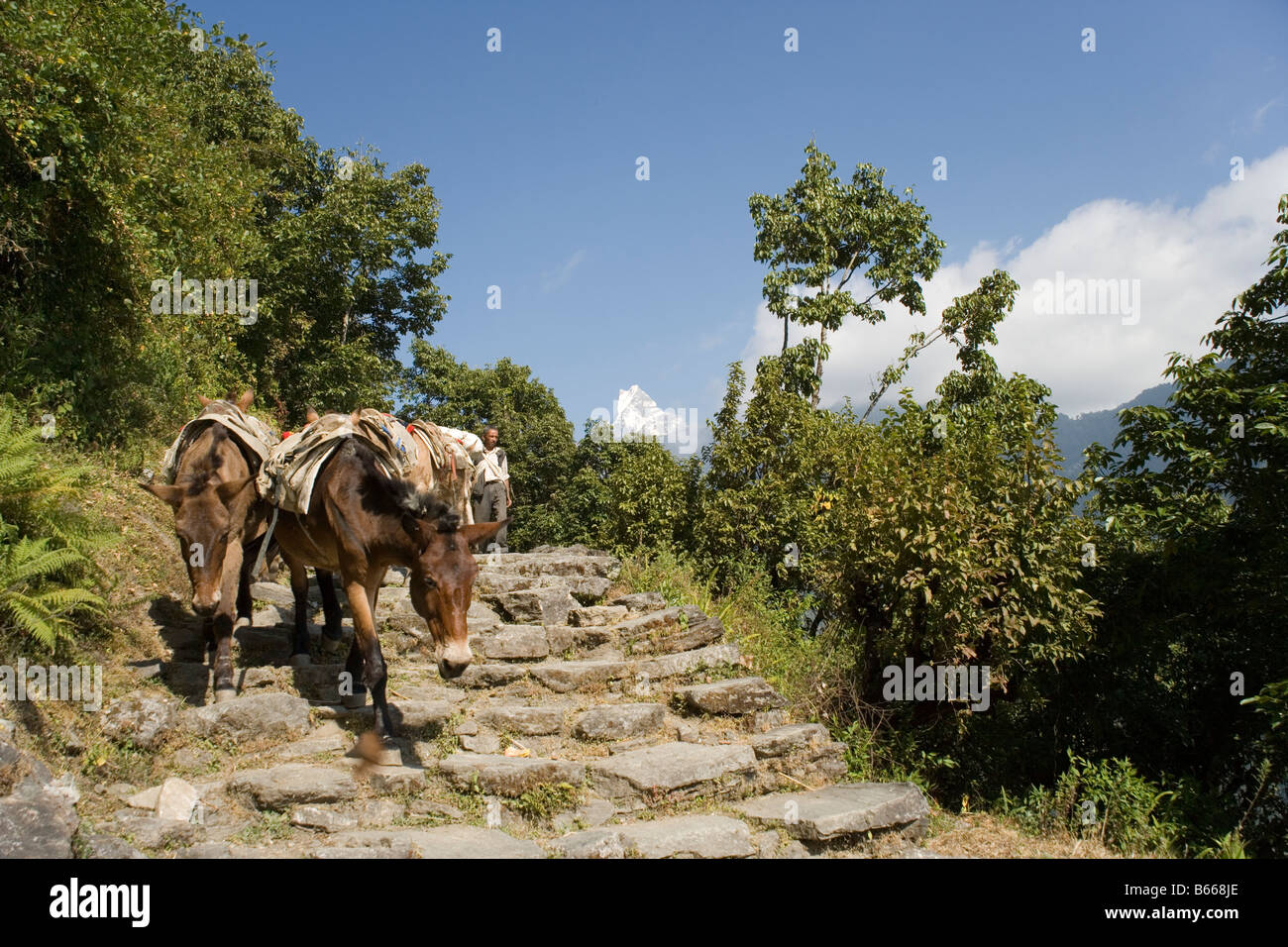 Fishtail train hi-res stock photography and images - Alamy