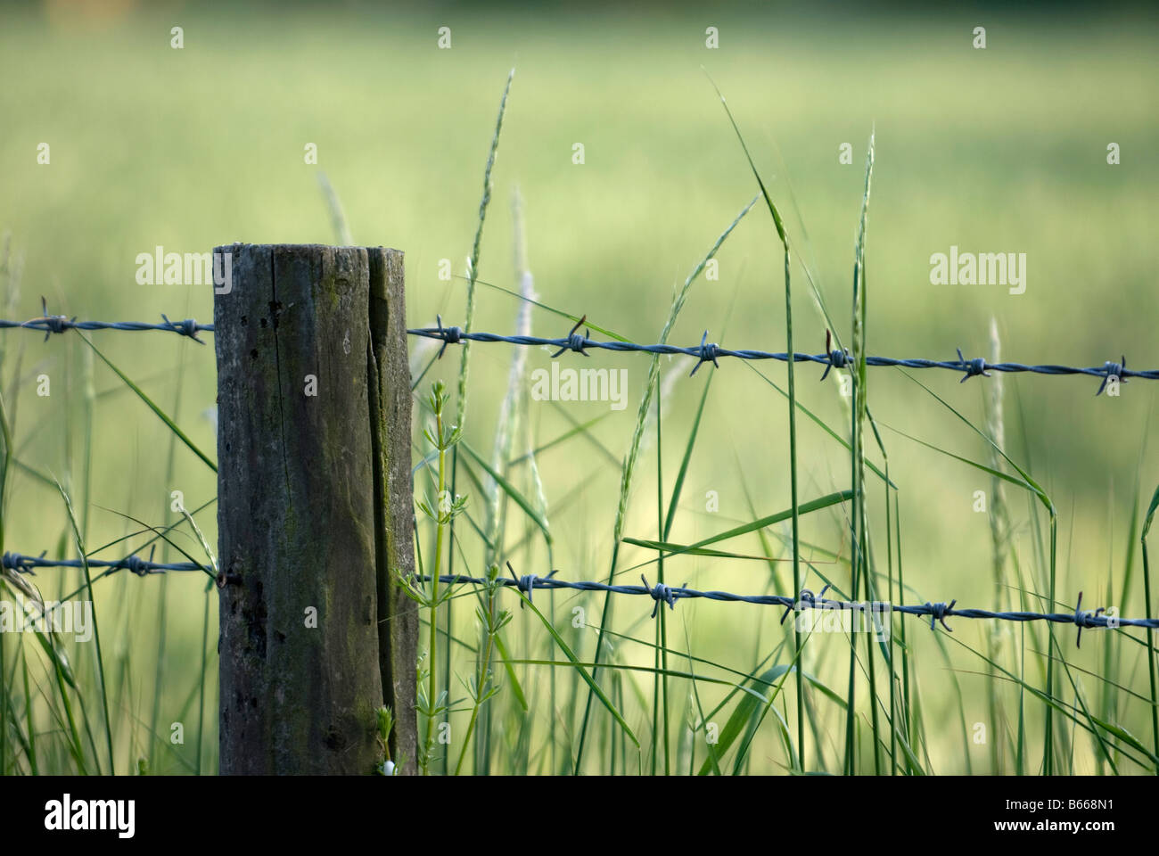 Fence along field Stock Photo - Alamy